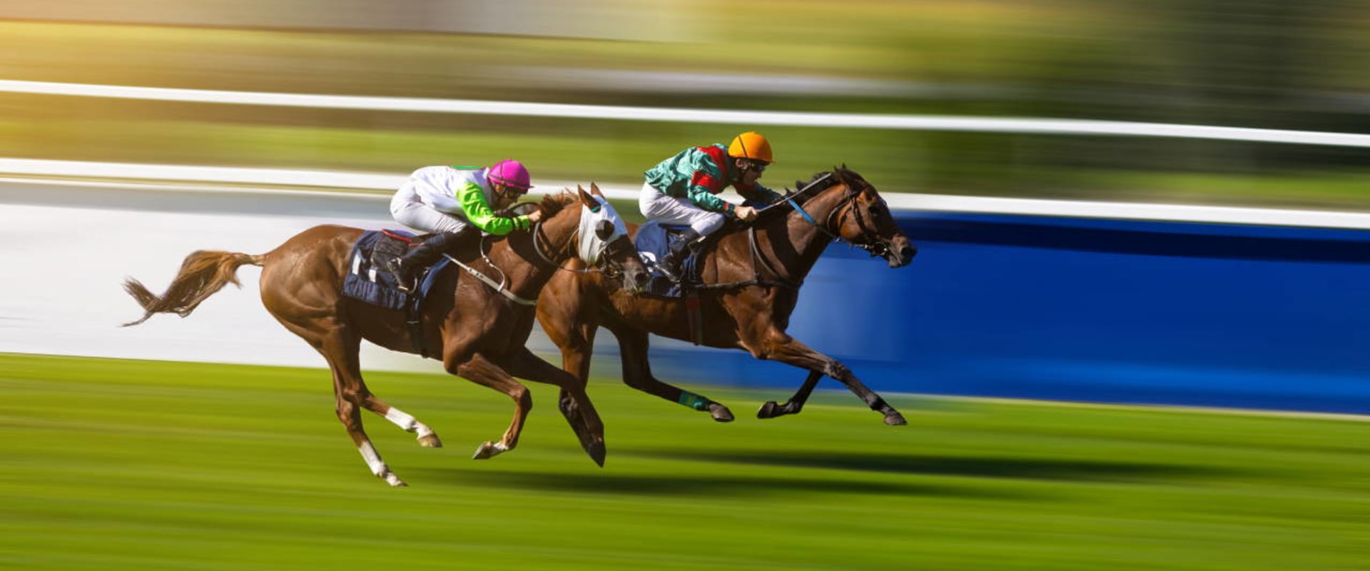 Virtual Horse Racing Trivia - The Ultimate Guide for Hosting a Race ...