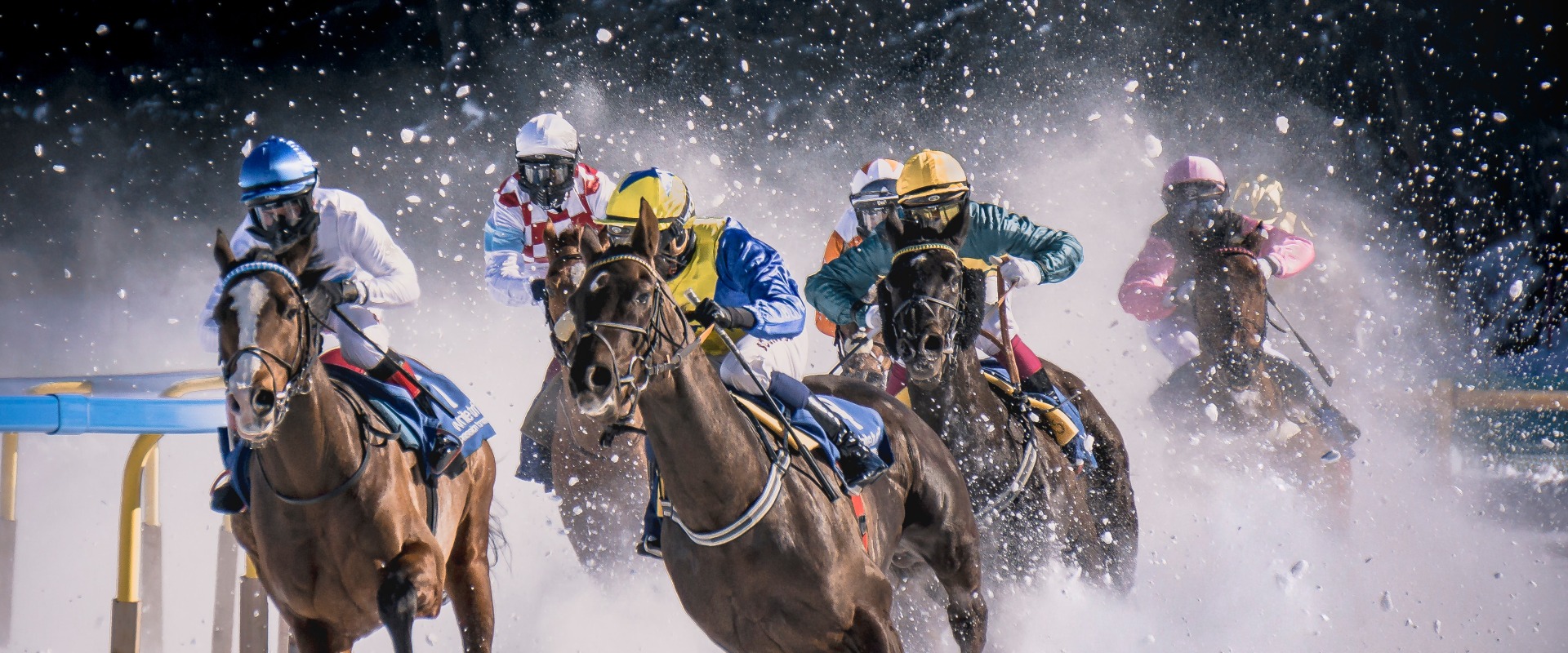 How to Host a Successful Race Night Party: Tips and Ideas for a Fun and ...
