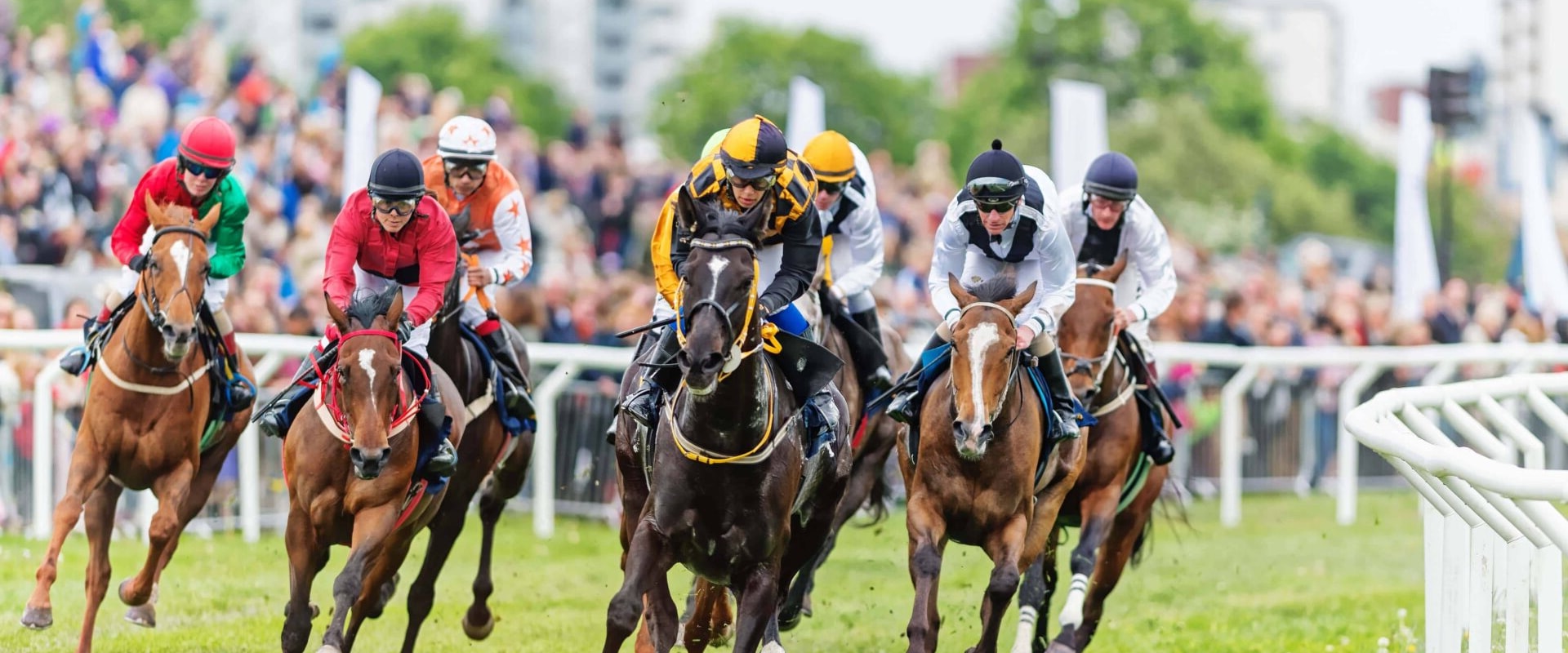 How to Host a Successful Race Night Party with Horse Racing Ticket ...